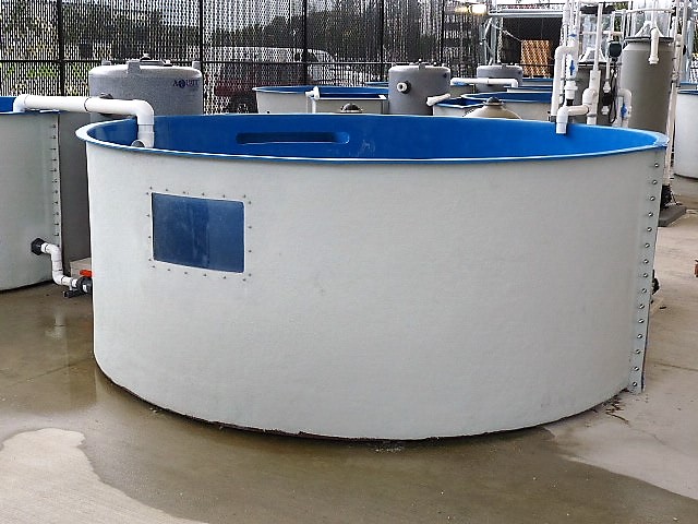 Dolphin Fiberglass Products, Inc. - Tanks, Ponds, Aquariums, Aquaculture