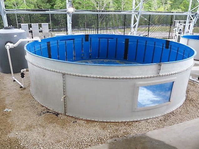 Dolphin Fiberglass Products, Inc. - Tanks, Ponds, Aquariums, Aquaculture